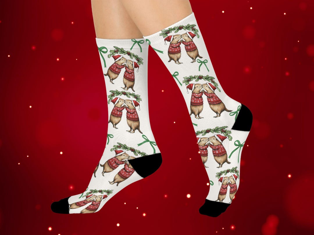 Capybara Sock Gift, Capybara Christmas Gift, Coquette Socks for Her ...