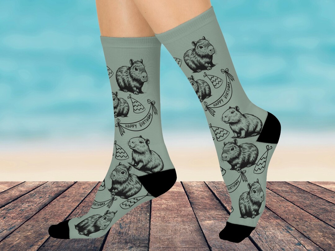 Capybara Sock Gifts Capybara Birthday Gift, Fun Novelty Socks for Capy ...