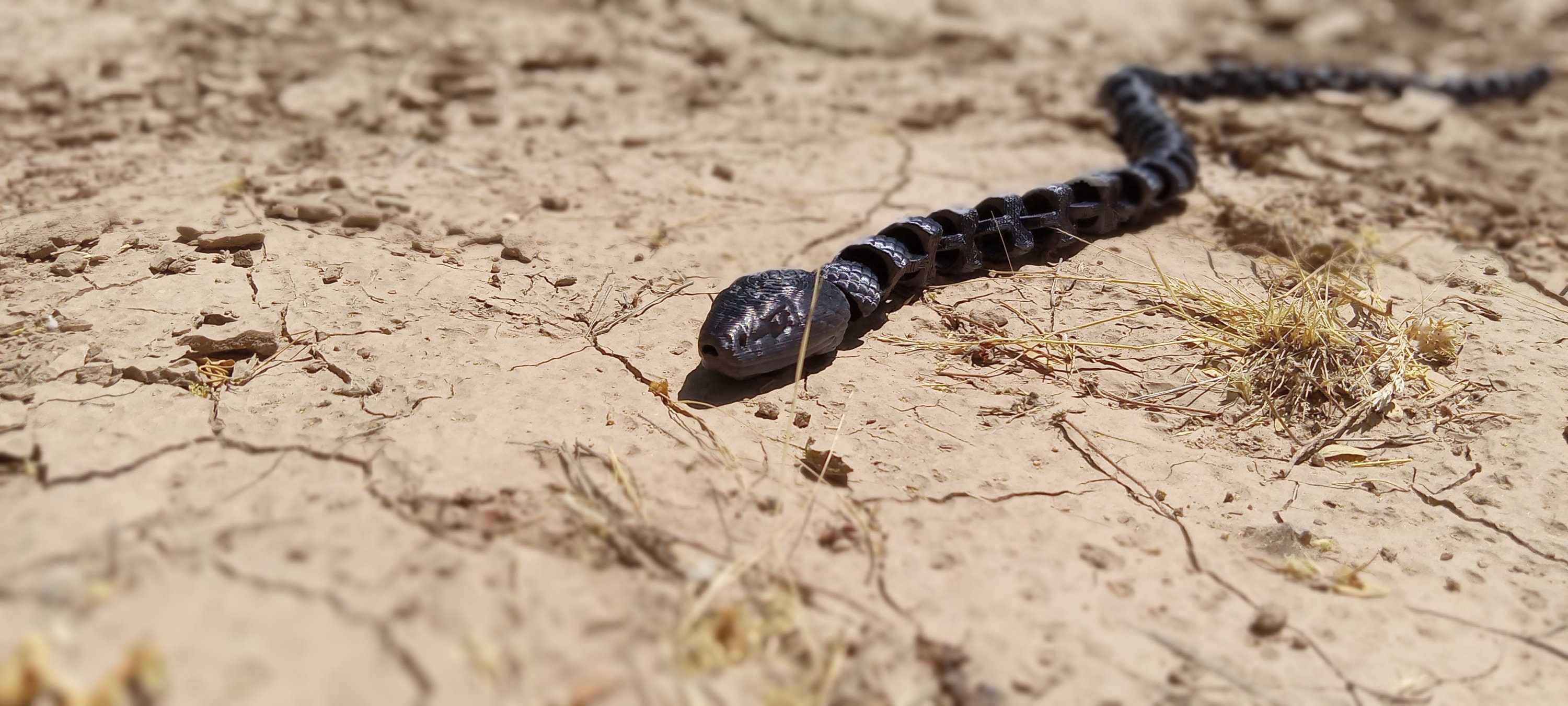 Fidget Snake Toy 3D Printed - 2ft Long - 34 Grams - Different Color ...