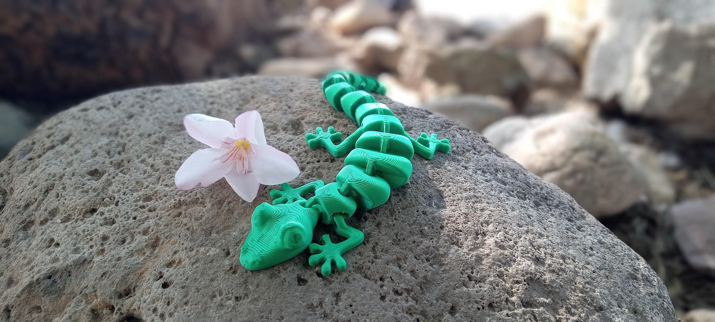 Fidget Lizard Toy 3D Printed 7inches by 2inches 10 Grams Different ...