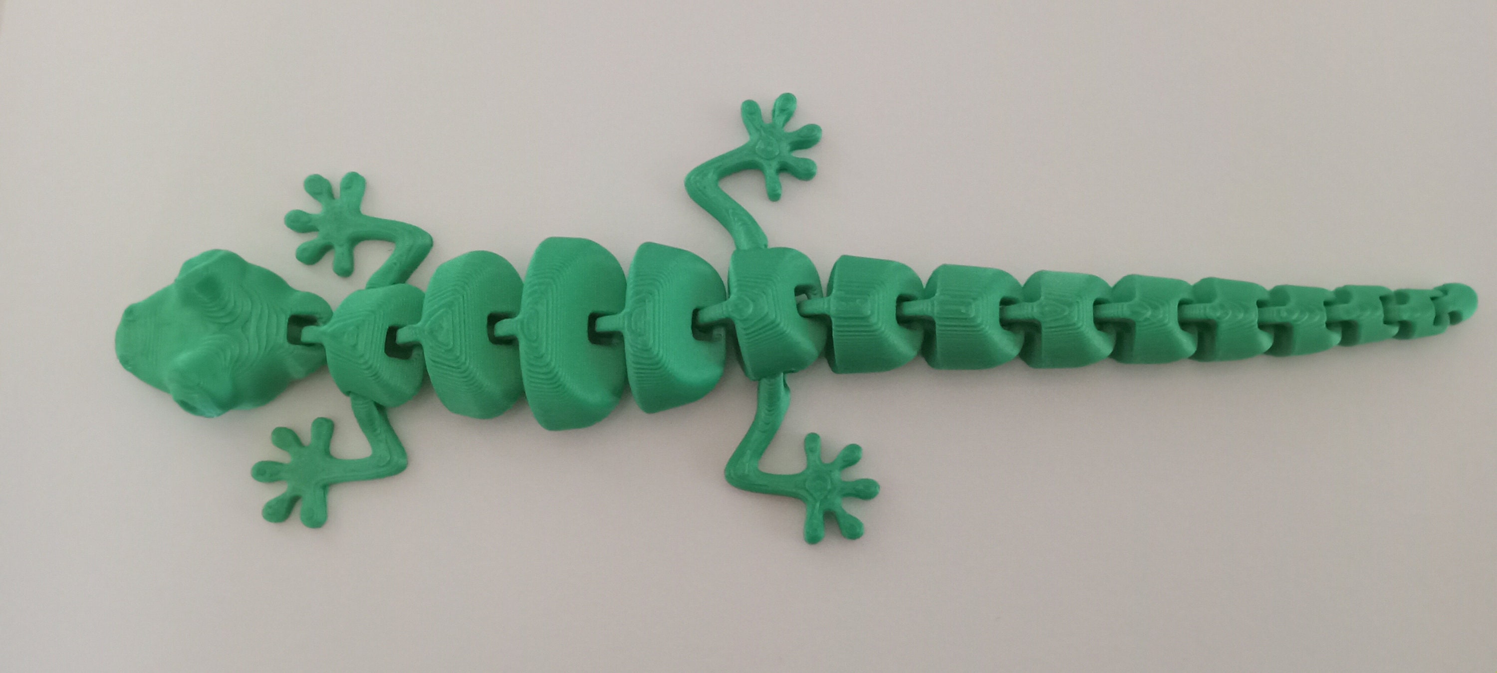 Fidget Lizard Toy 3D Printed 7inches by 2inches 10 Grams Different ...