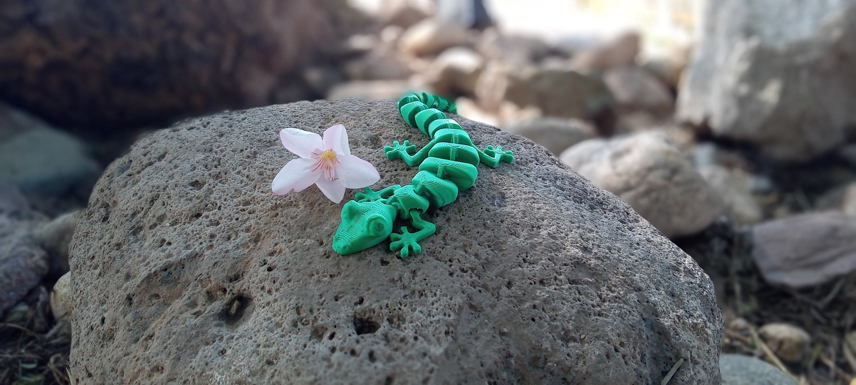 Fidget Lizard Toy 3D Printed 7inches by 2inches 10 Grams Different ...