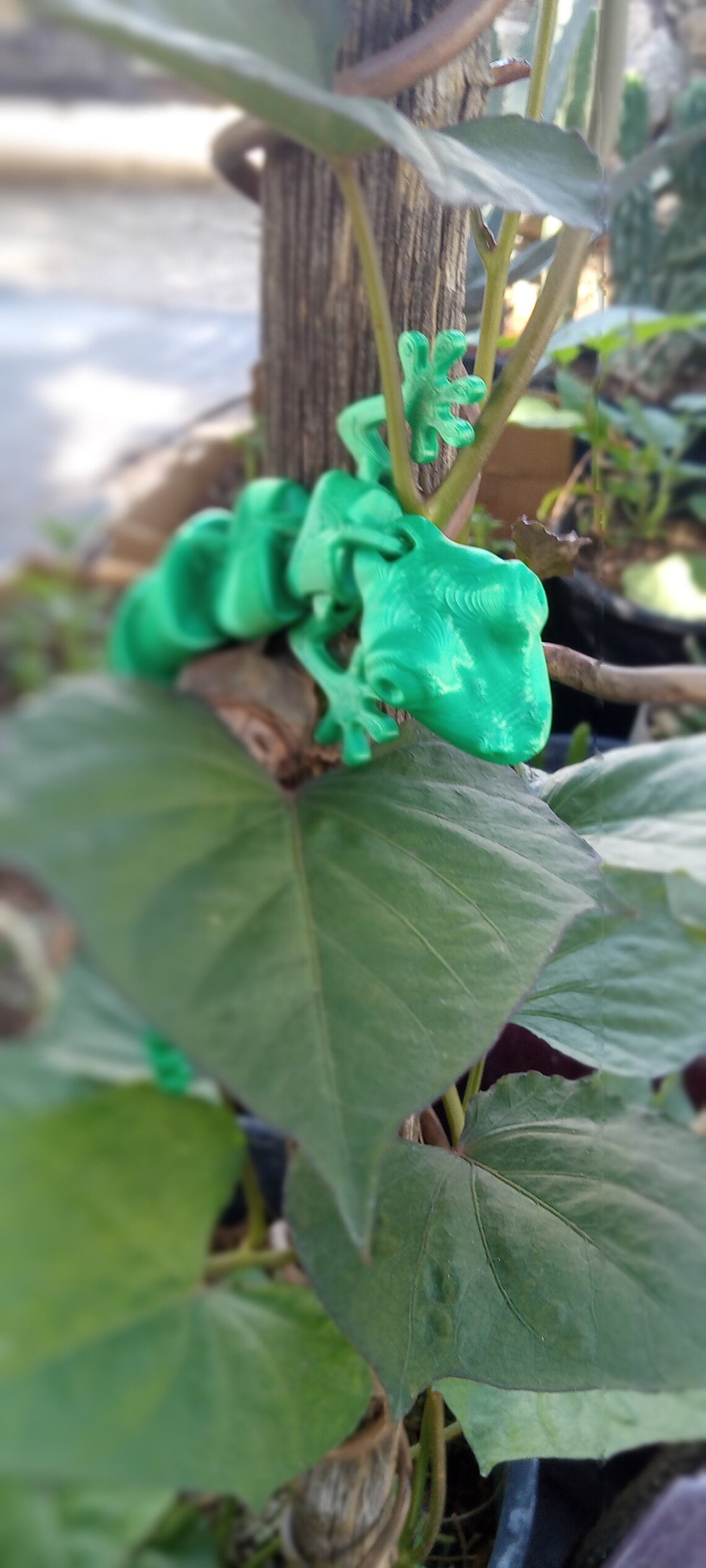 Fidget Lizard Toy 3D Printed 7inches by 2inches 10 Grams - Etsy