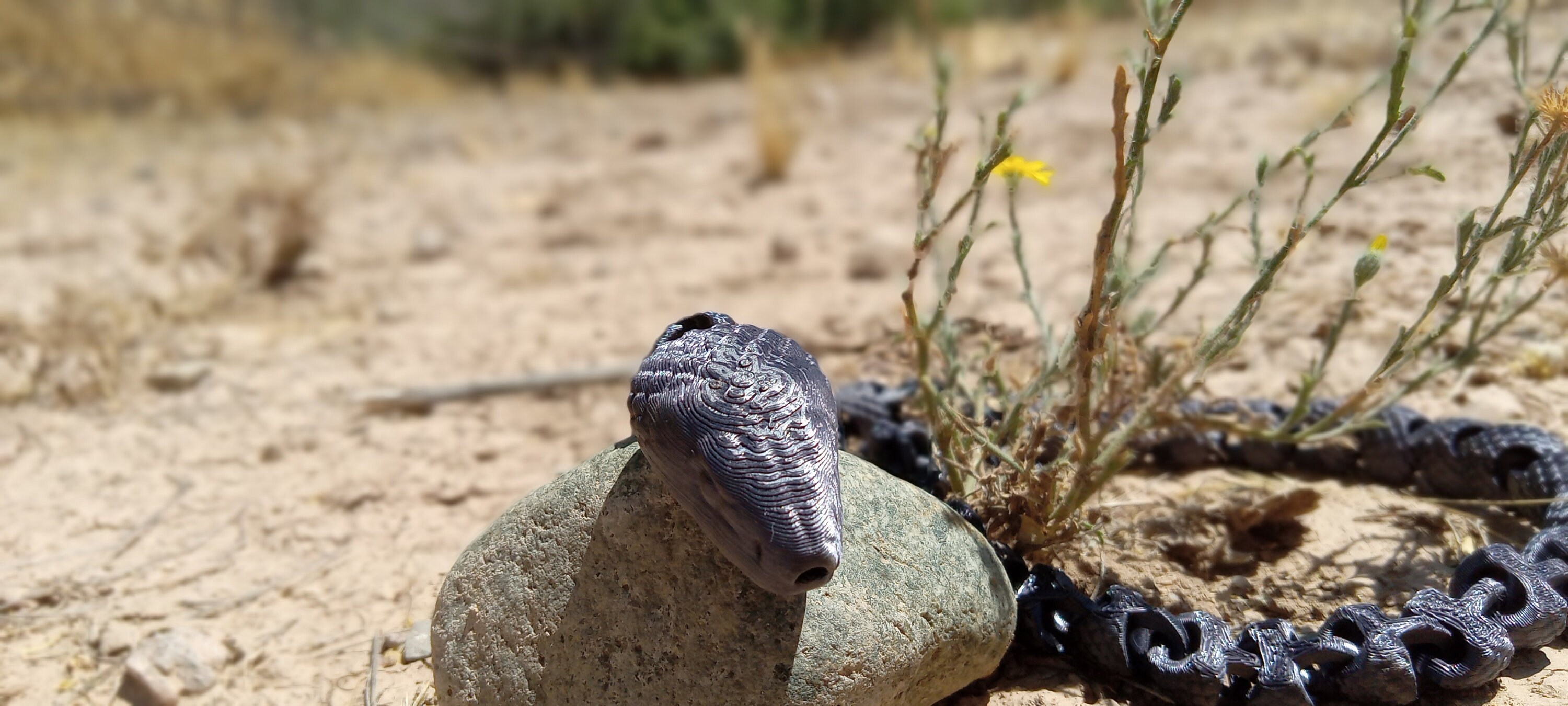 Fidget Snake Toy 3D Printed - 2ft Long - 34 Grams - Different Color ...