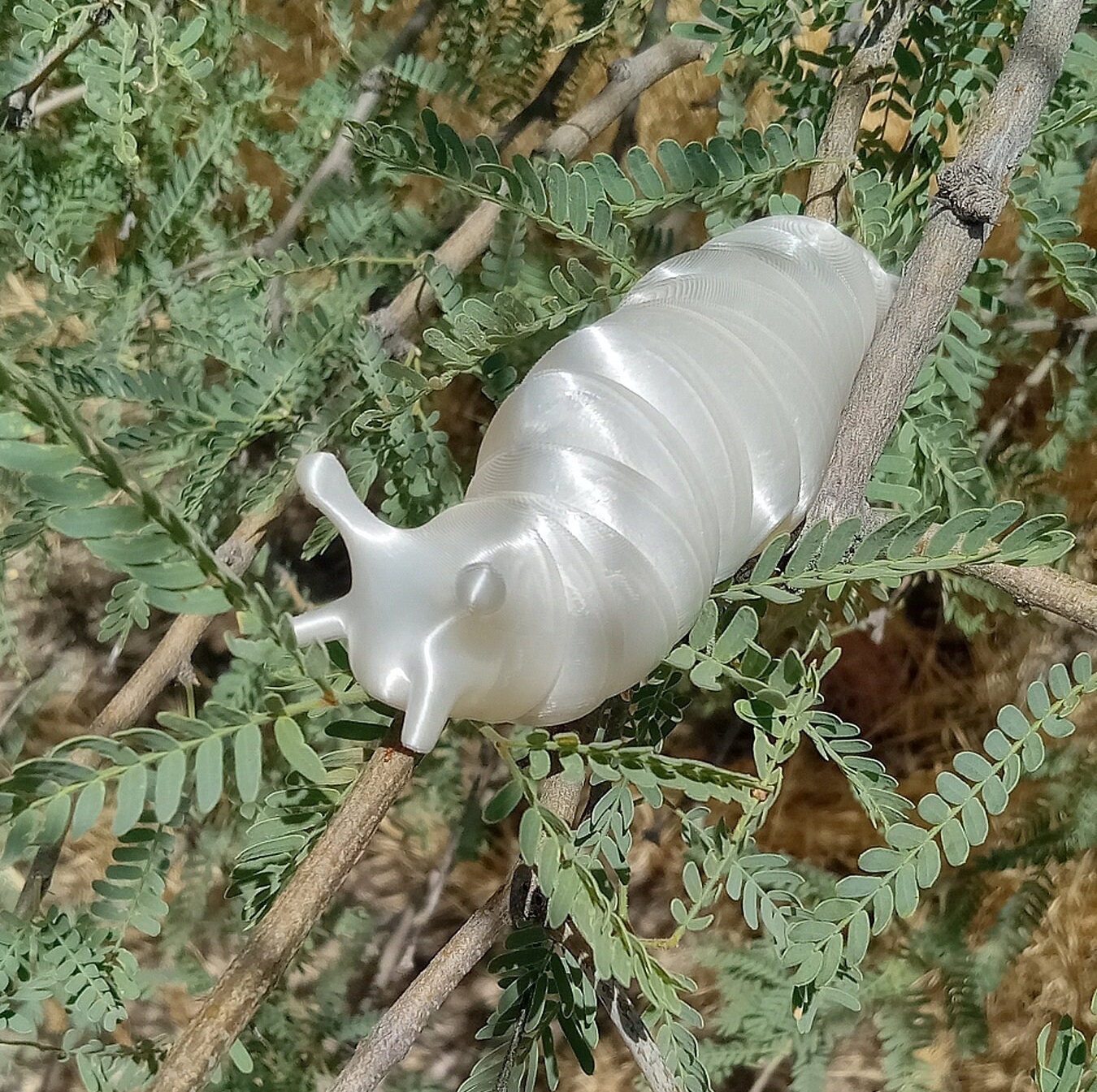 Fidget Slug Toy 3D Printed - 4.5in by 1.5in - 38 Grams - Different ...