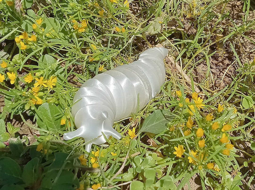 Fidget Slug Toy 3D Printed - 4.5in by 1.5in - 38 Grams - Different ...