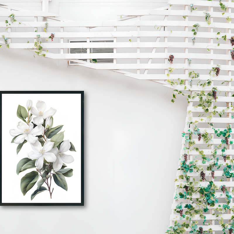 Jasmine live plants - Etsy France