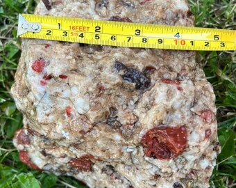 Large Michigan Pudding Stone Rough Unpolished for Lapidary - Etsy