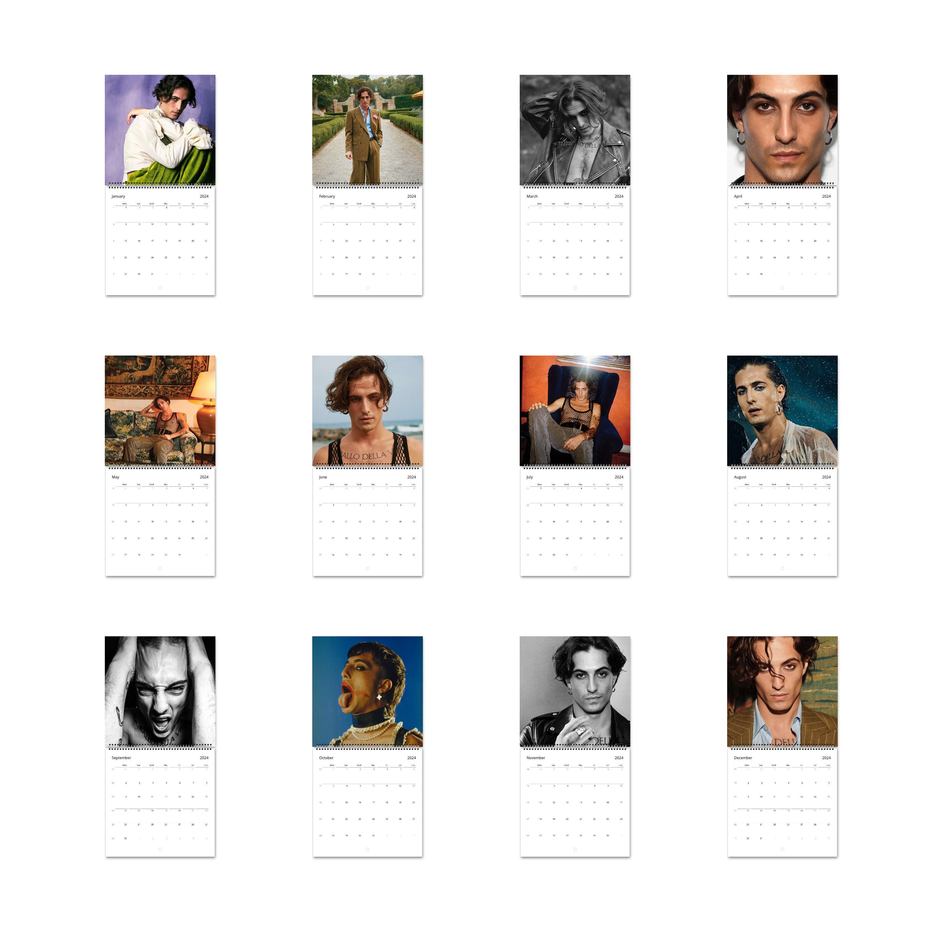 Damiano David Calendar Vol.1 2024 Calendar Wall Calendar - Etsy Ireland