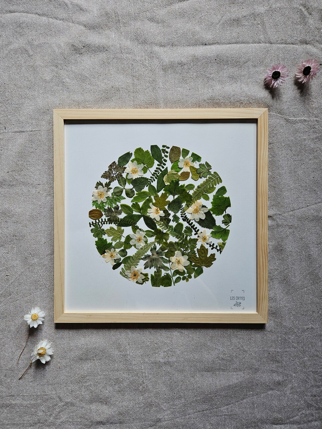Herbarium Frame Herbarium Pressed Flowers Wild Flowers Natural ...