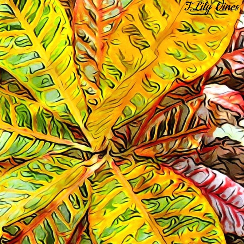 Photorealism Digital Art Coral Croton by T.lily Vines - Etsy