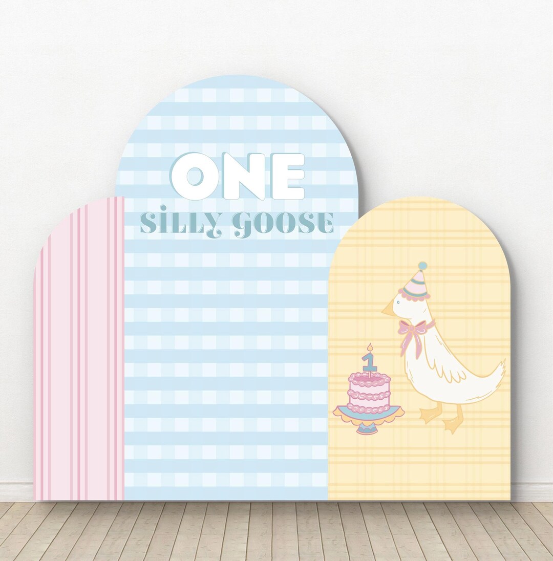 One Silly Goose Birthday Decorations, Boy First Birthday, Girl First ...
