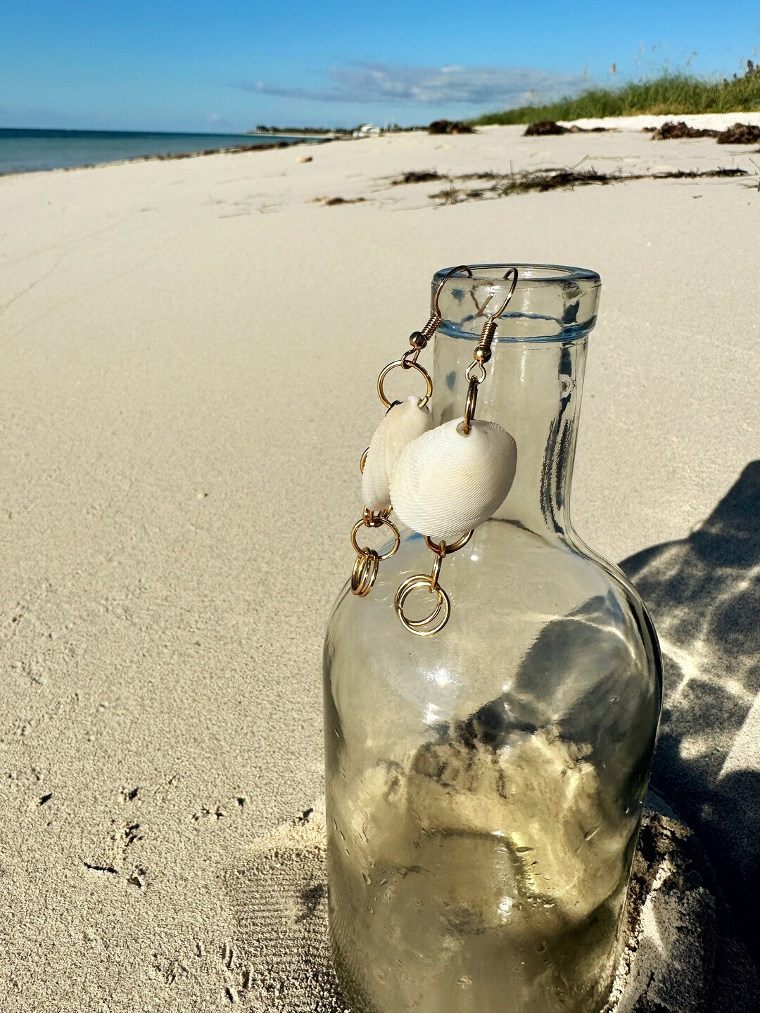 Dangle Seashell Earrings Gold Circle Chain Tiger Lucine Shell - Etsy