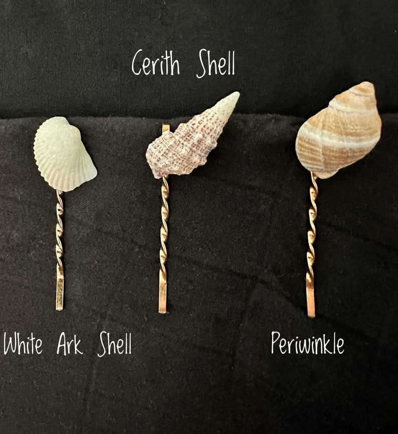 Seashell Bobby Pin Hairpin Gold or Silver - Choice of Shell - Etsy