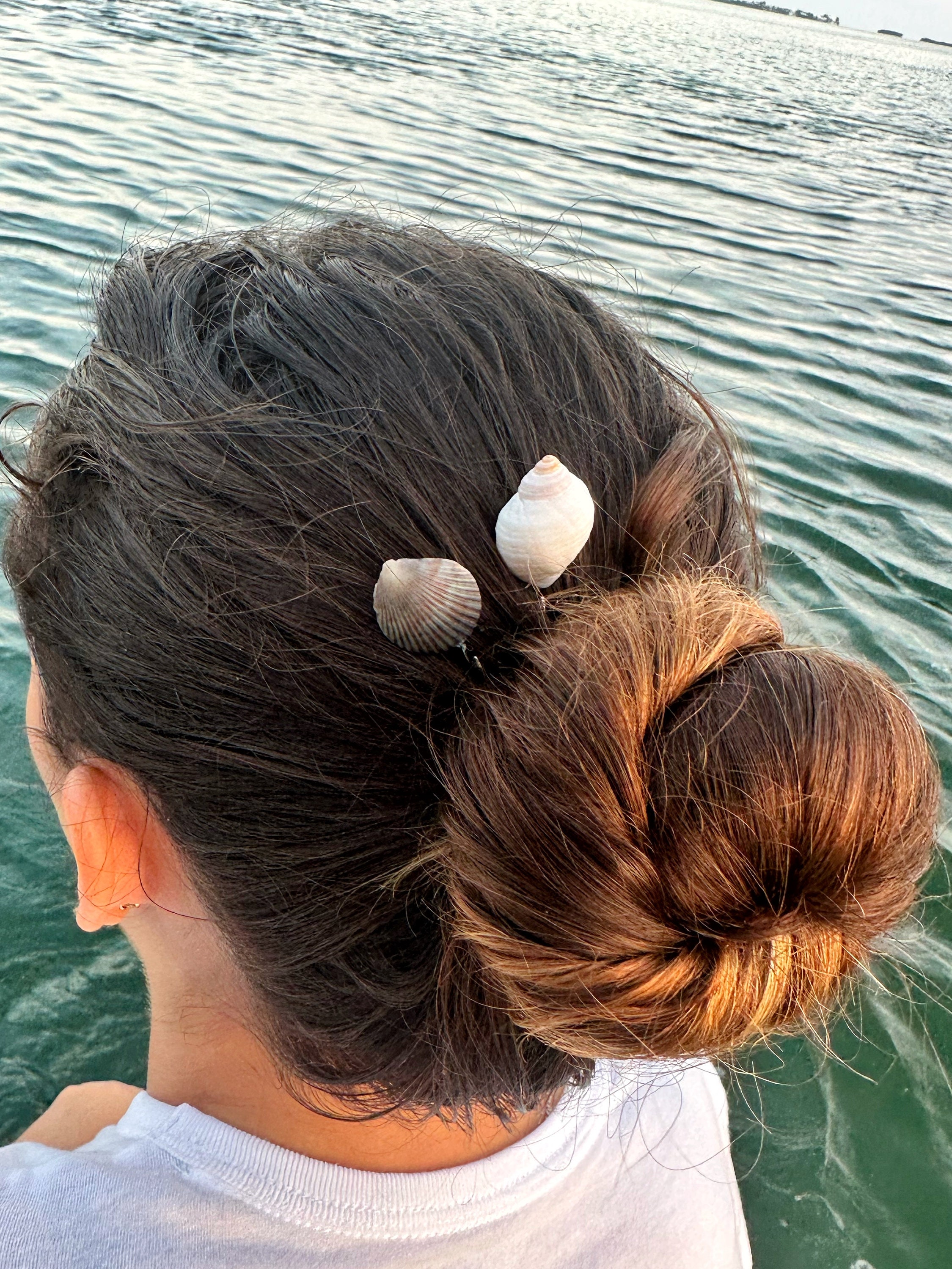 Seashell Bobby Pin Hairpin Gold or Silver - Choice of Shell - Etsy