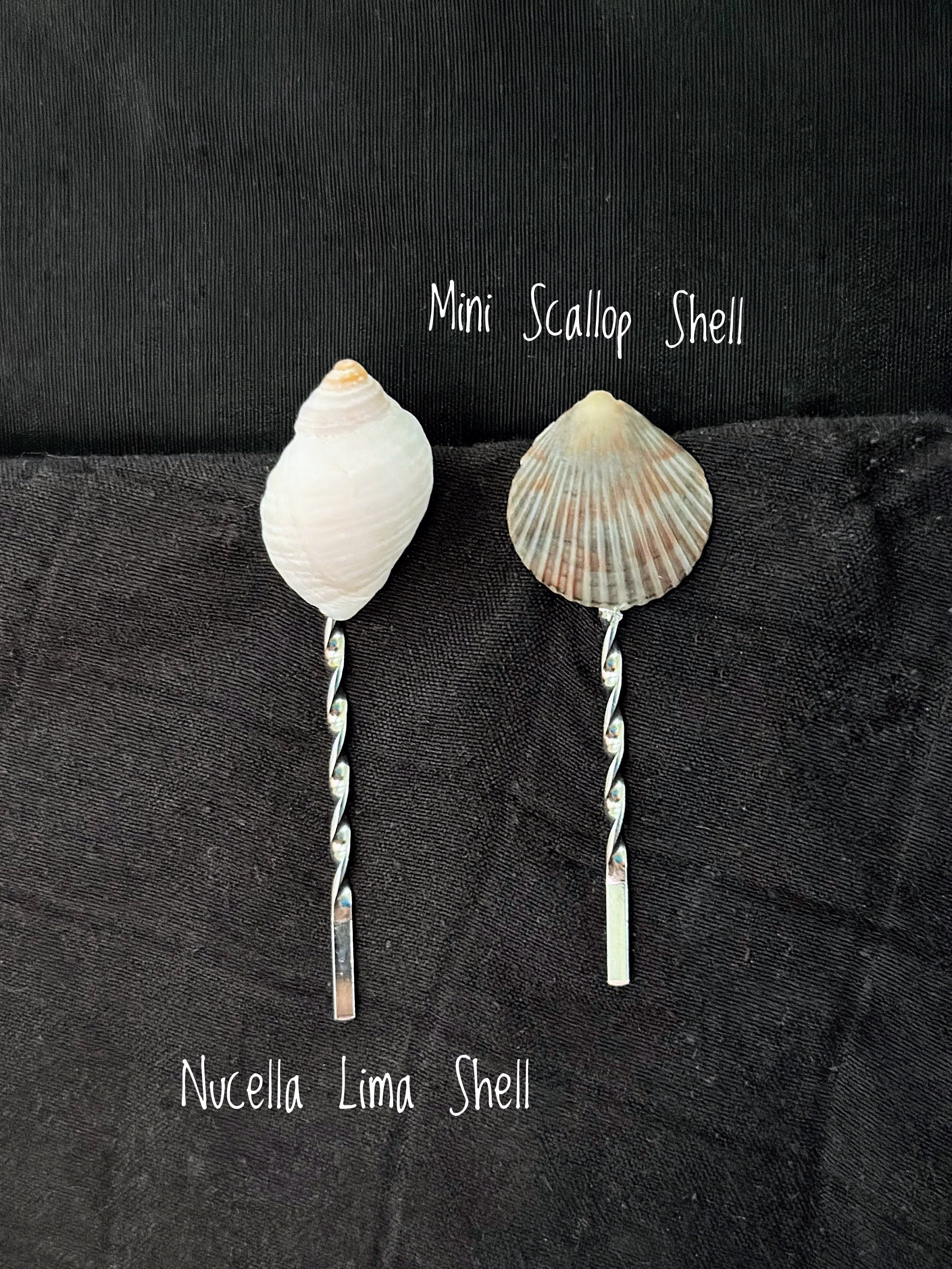 Seashell Bobby Pin Hairpin Gold or Silver - Choice of Shell - Etsy