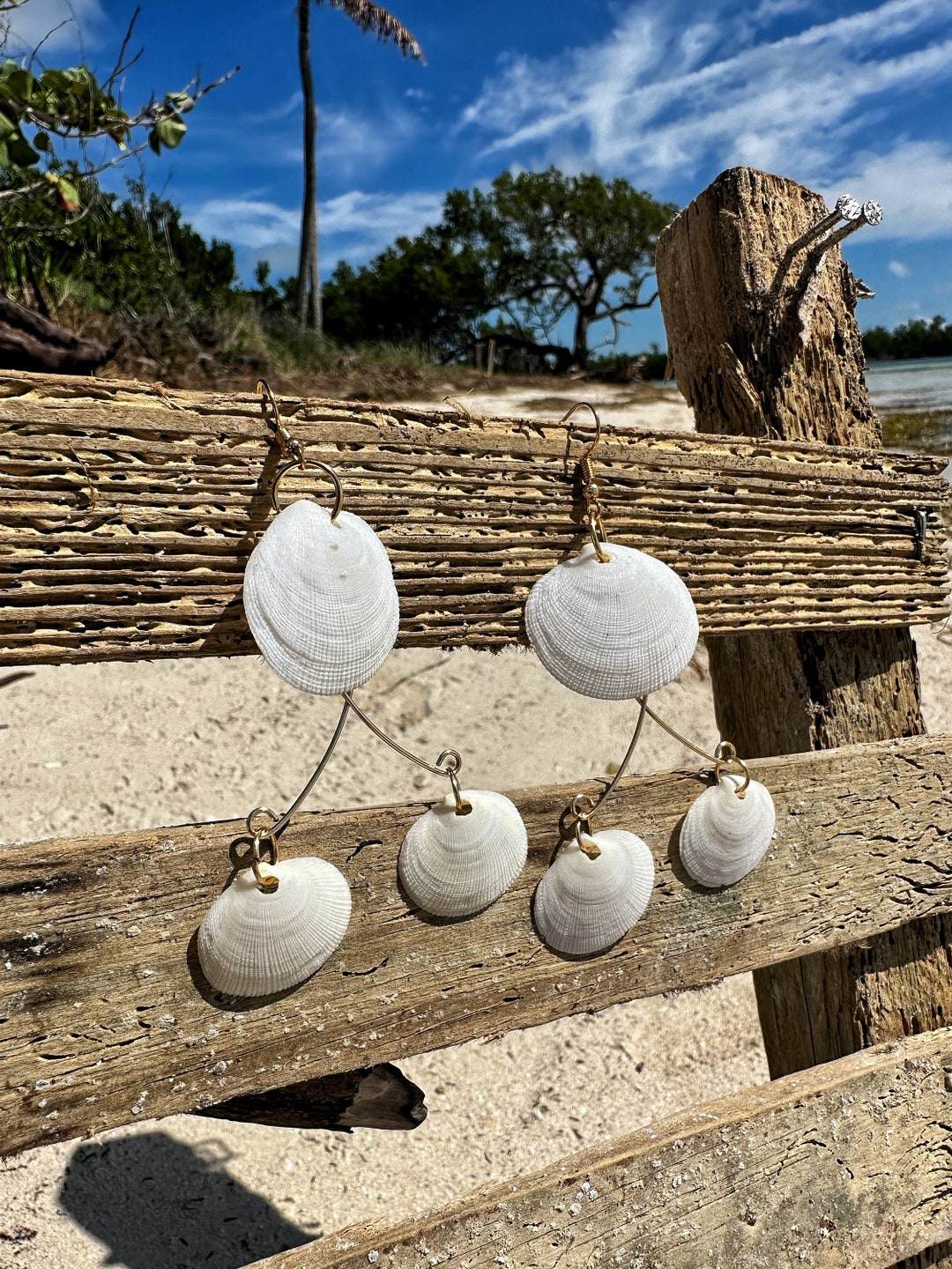 Seashell Earrings Chandelier Tiger Lucine on Gold Wire - Etsy