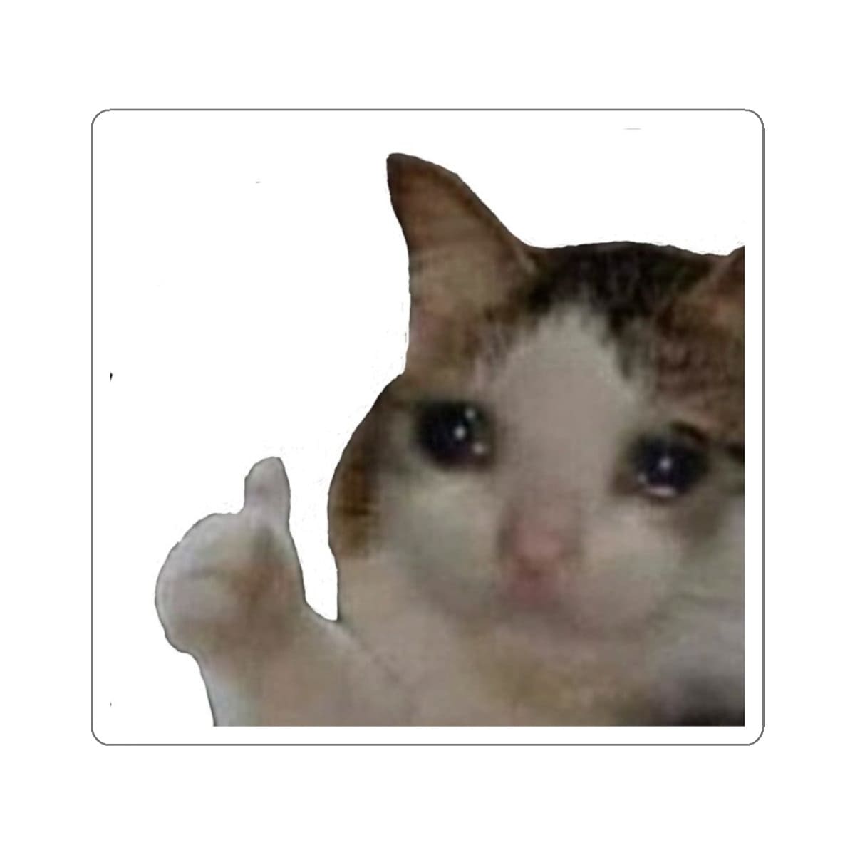 Thumbs up Cat Funny Meme Sticker Vinyl Kiss-cut - Etsy