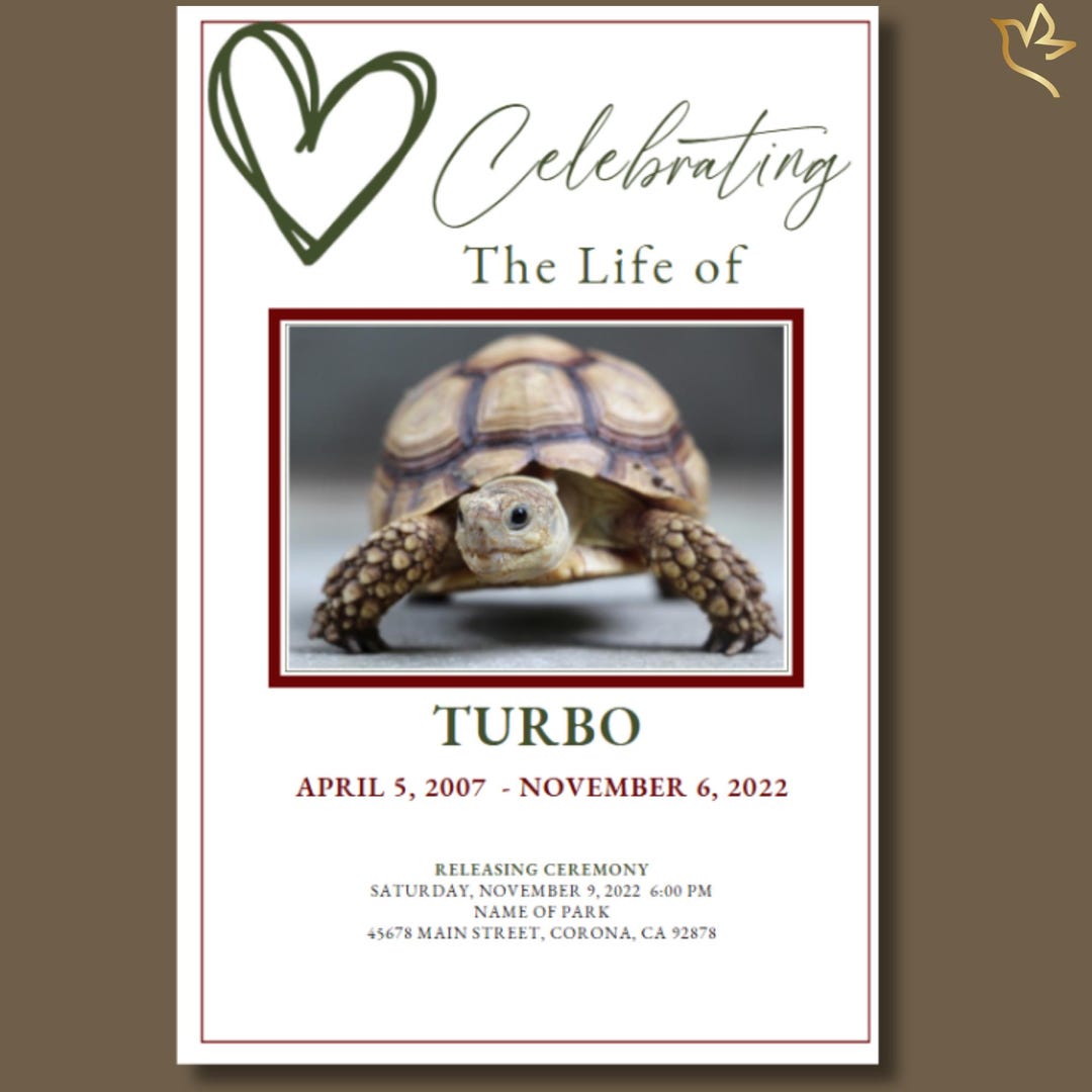Reptile Funeral Program Template | Lizard, Turtle & Snake Memorial - Etsy