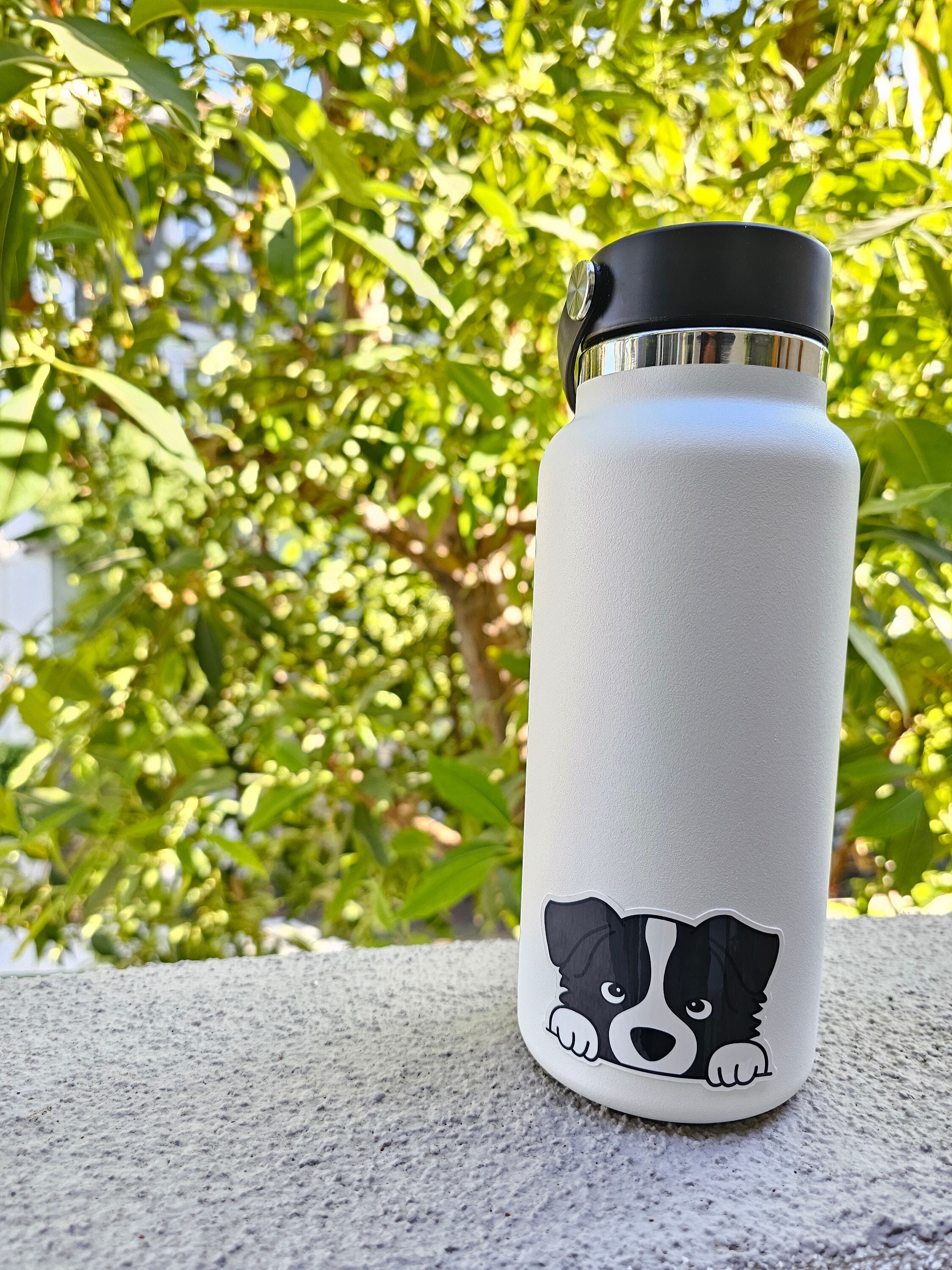 Border Collie Sticker Waterproof Sticker, Border Collie Decal, Dog ...