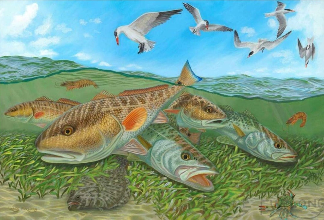 Original Redfish Fishing Fine Art Print - | "texas Slam" | - Numbered ...