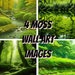 Moss Wall Art Moss SVG Moss PNG Moss Clipart Instant Download Moss Clip ...