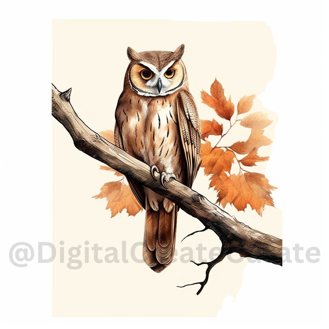 Owl SVG Birds SVG Owl Cut File Owl Clipart Owl Files for Cricut Owl PNG ...