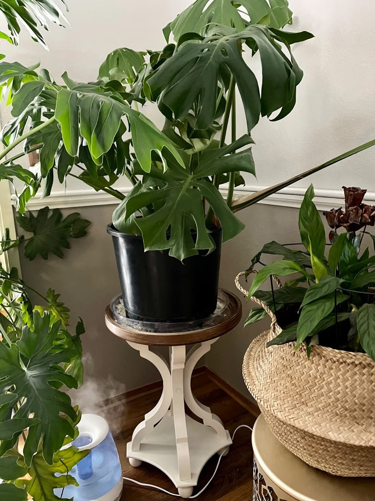 Rustic Farmhouse Cottagecore Accent End Table Natural Tray - Etsy