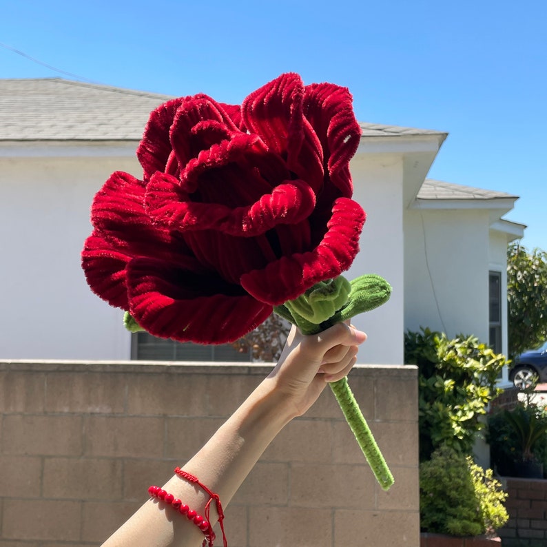 Big Floyd Roses With Light Made of Pipe Cleaners - Etsy
