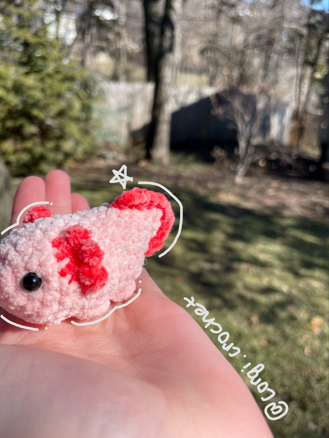 Rosie the Mini Axolotl - Etsy