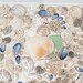 Assorted Ocean Blend Seashell Art, Beach Seashell Art, Coastal Decor ...