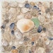 Assorted Ocean Blend Seashell Art, Beach Seashell Art, Coastal Decor ...