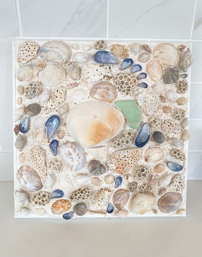 Assorted Ocean Blend Seashell Art, Beach Seashell Art, Coastal Decor, Shell Wall Art, Seashell ...