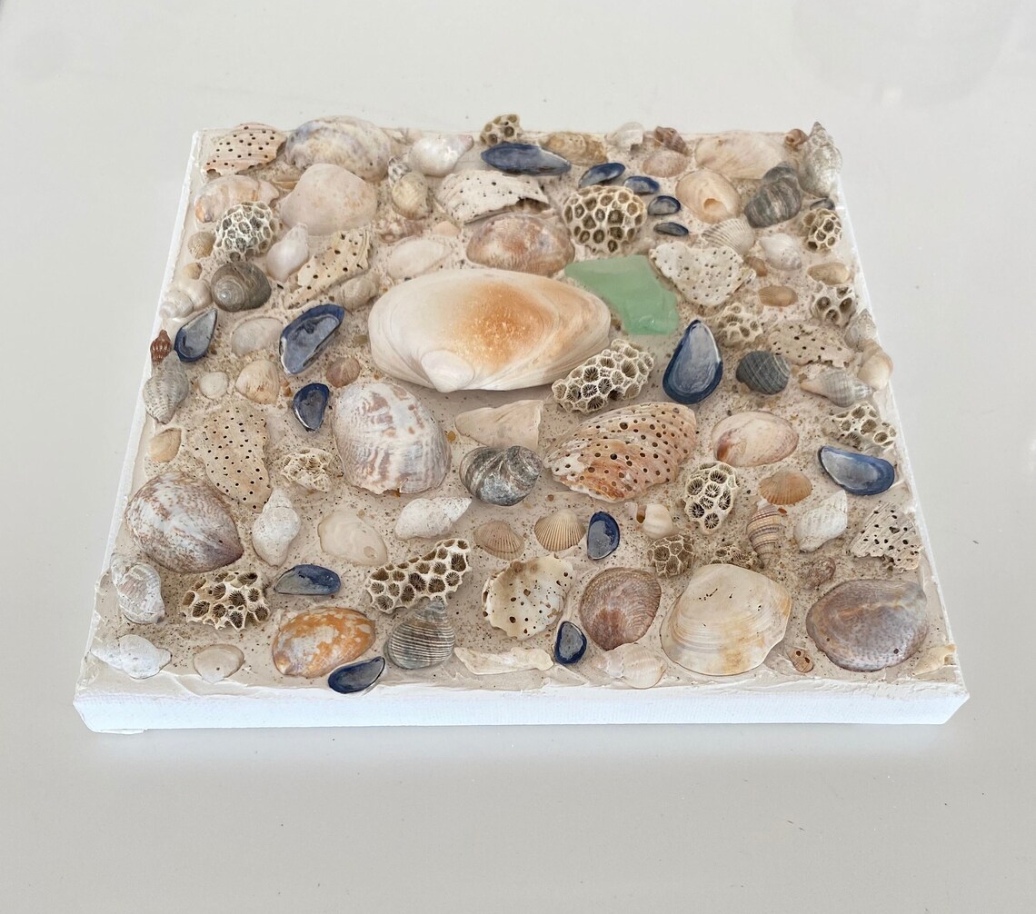Assorted Ocean Blend Seashell Art, Beach Seashell Art, Coastal Decor ...