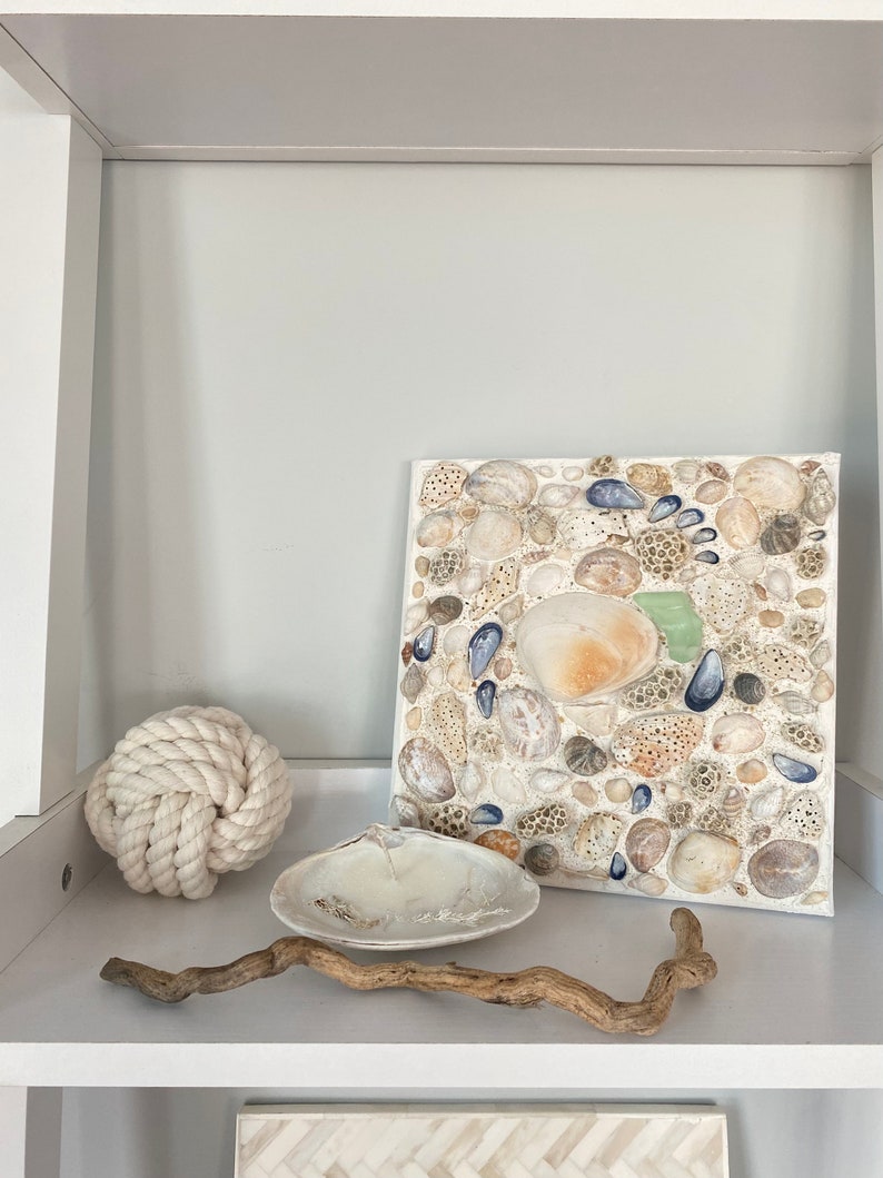 Assorted Ocean Blend Seashell Art, Beach Seashell Art, Coastal Decor, Shell Wall Art, Seashell ...