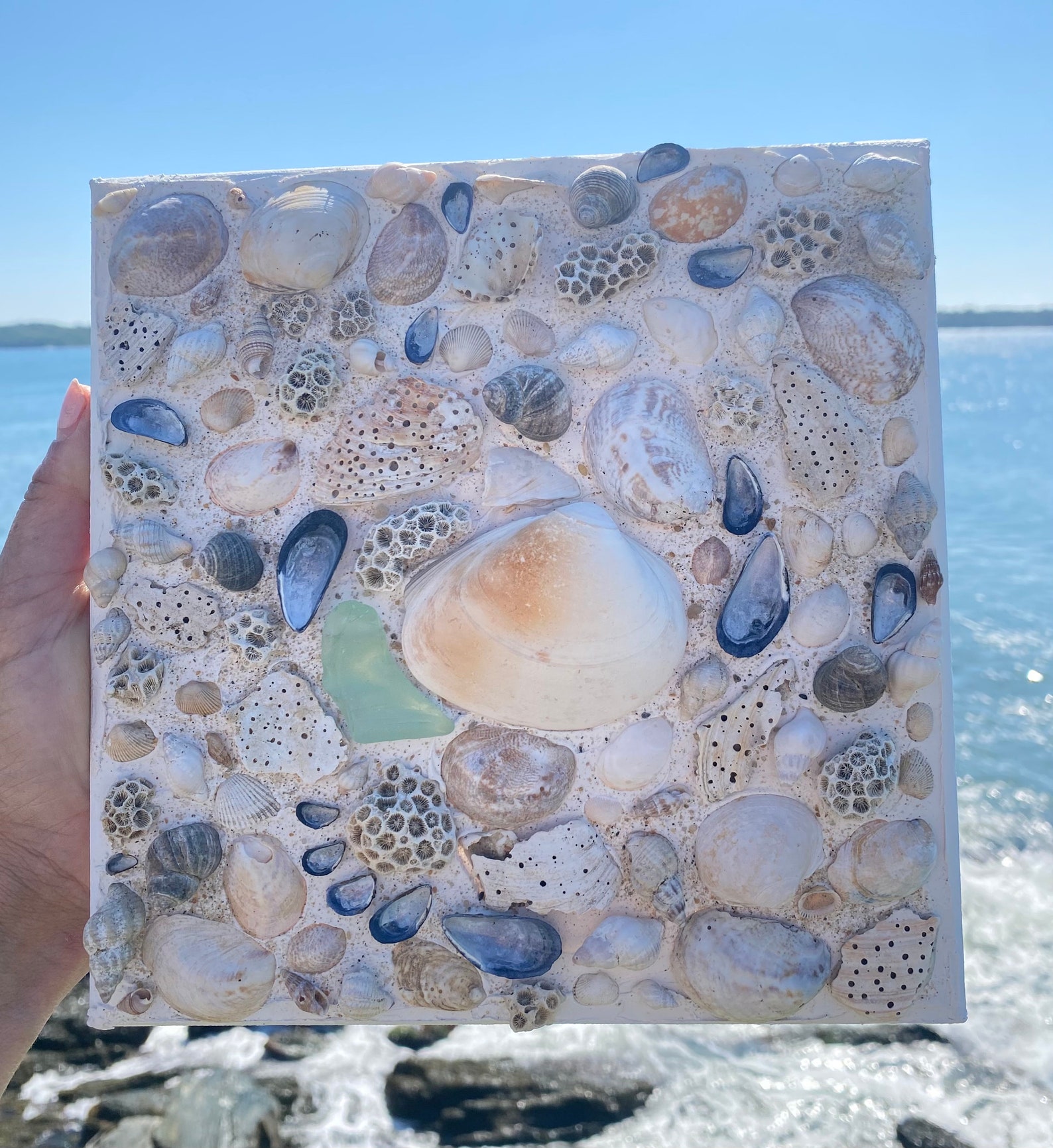 Assorted Ocean Blend Seashell Art, Beach Seashell Art, Coastal Decor ...