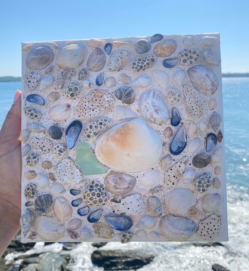 Assorted Ocean Blend Seashell Art, Beach Seashell Art, Coastal Decor, Shell Wall Art, Seashell ...