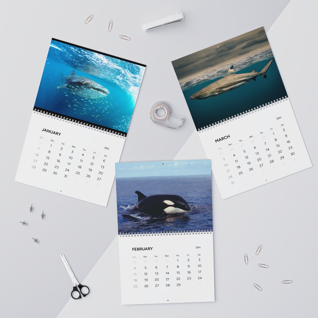 2024 Dive Style Calendar Artistic Scuba Diving Themed Wall Calendar ...