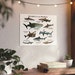 Sharks of the World Shark Week Ocean Lovers Oceanography - Etsy