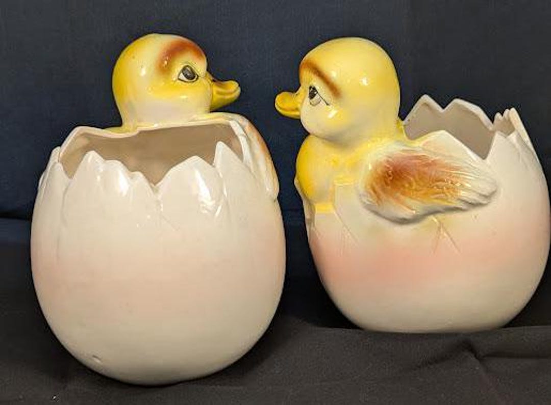 Hatching Ducklings Planters Set of 2 - Etsy