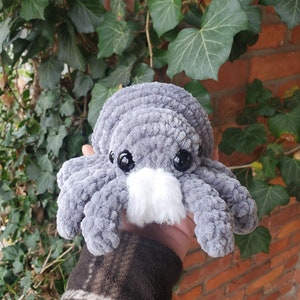 Jules the Jumping Spider Crochet Pattern - Etsy