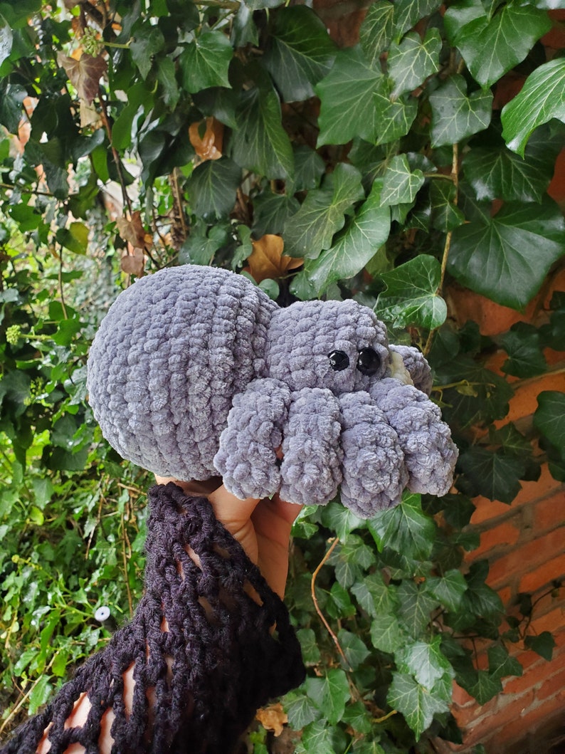 Jules the Jumping Spider Crochet Pattern - Etsy Australia