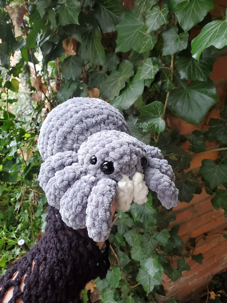 Jules the Jumping Spider Crochet Pattern - Etsy Australia