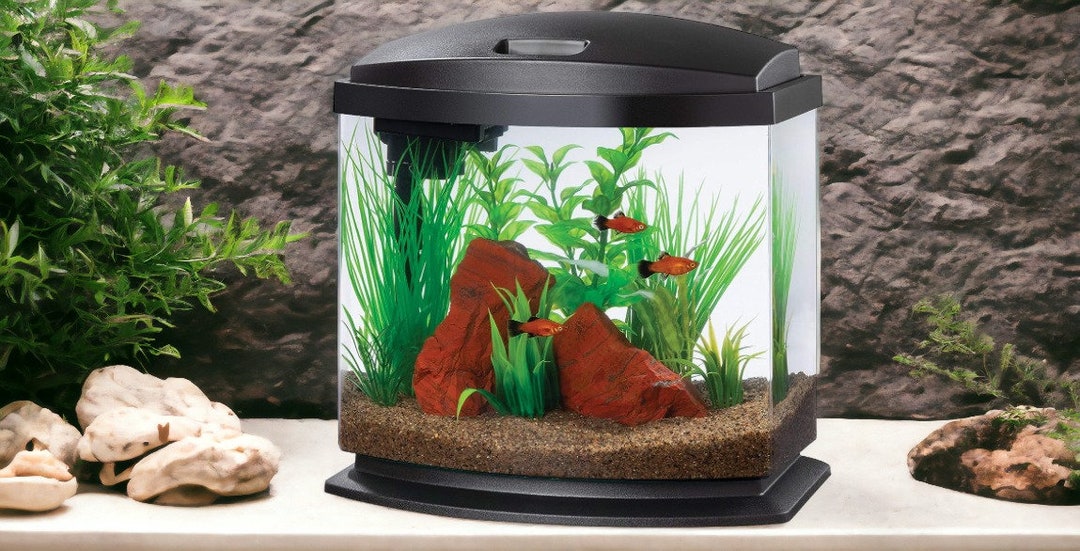 LED Minibow Small Aquarium Fish Tank Kit With Smartclean - Etsy