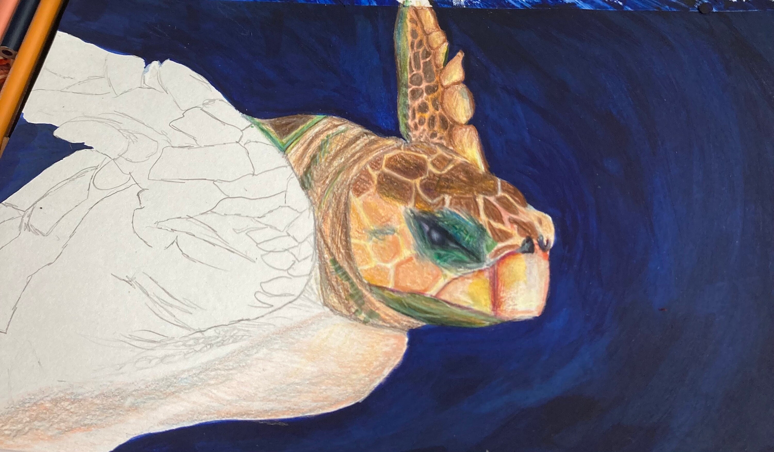 Sea Turtle Drawing, Under the Sea Drawing, Mixed Media Artwork, House ...