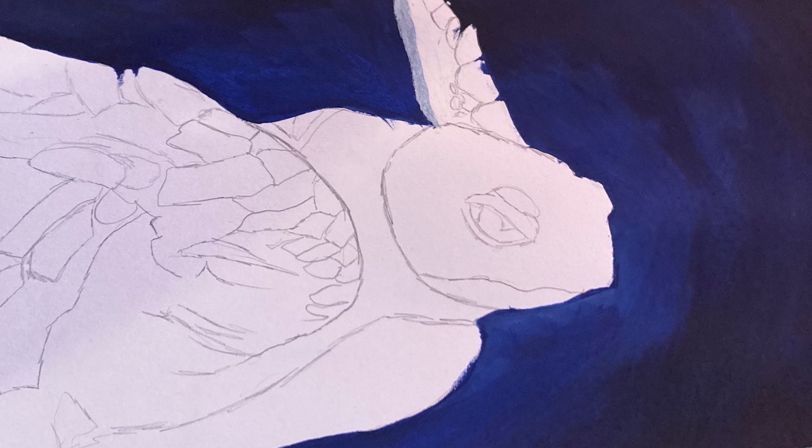 Sea Turtle Drawing, Under the Sea Drawing, Mixed Media Artwork, House ...