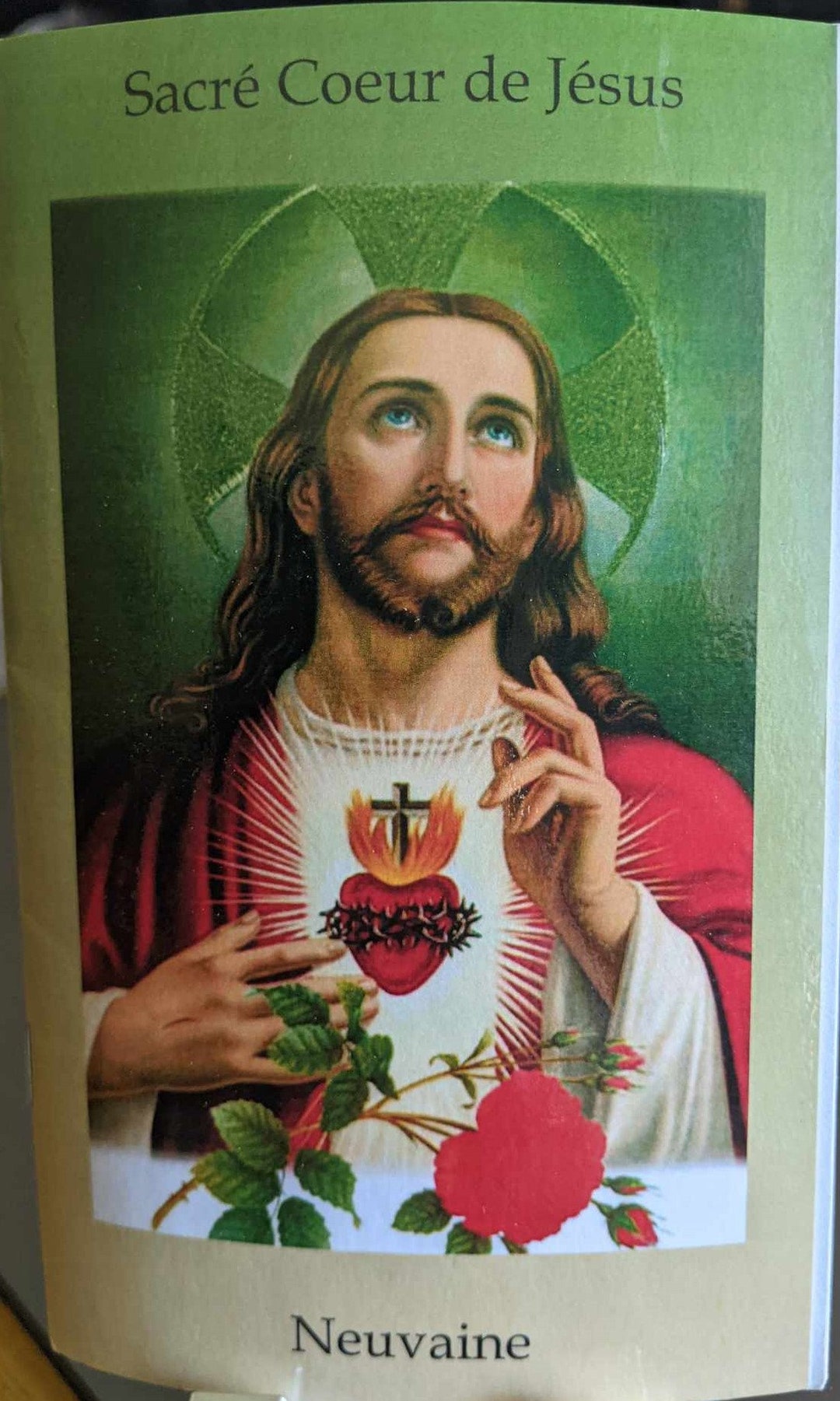 Novena to the Sacred Heart of Jesus (french) - Etsy