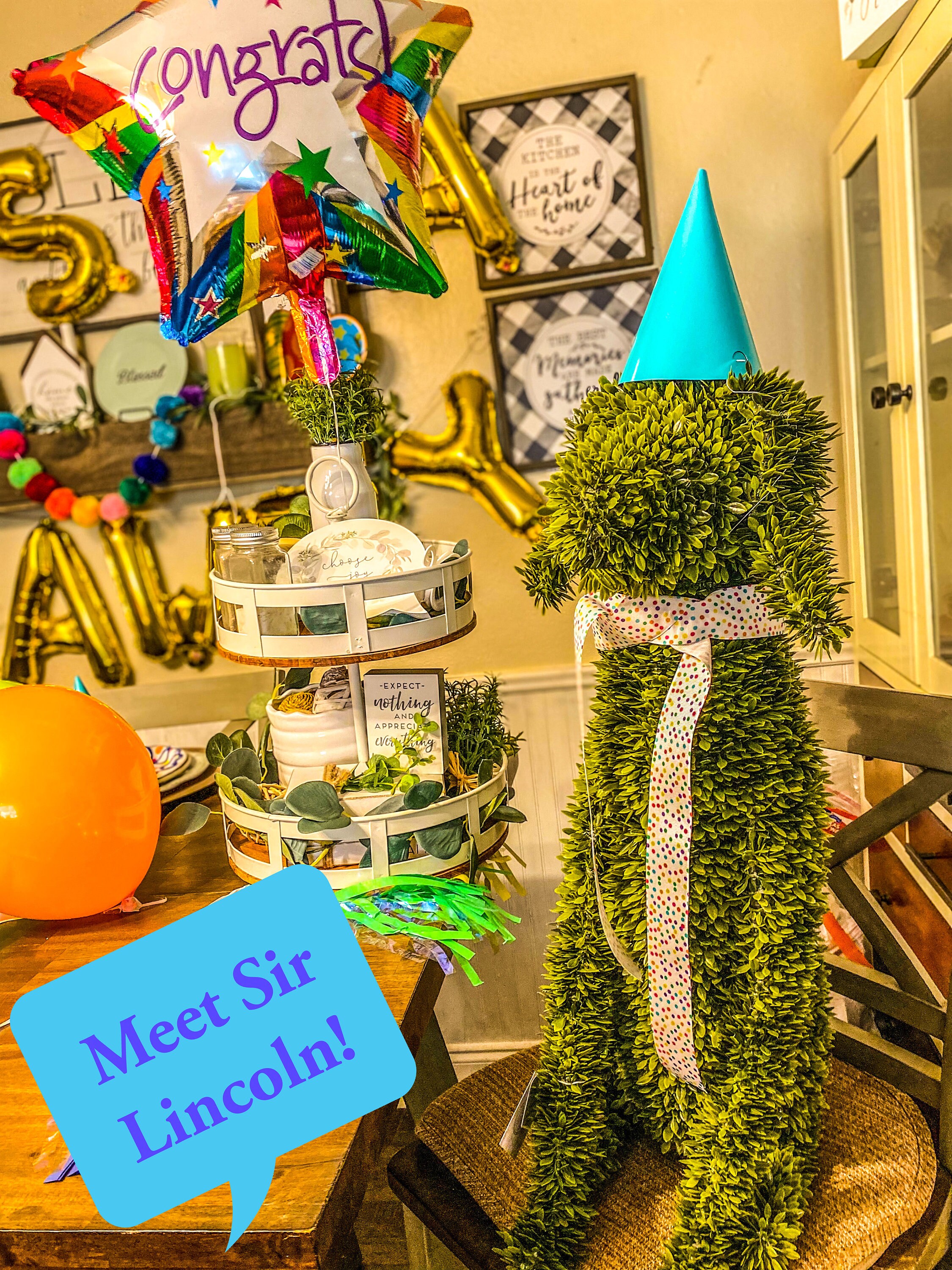 Meet Sir Lincoln Fun, Faux Plant, Topiary Dogs Give the Pet Lover You ...