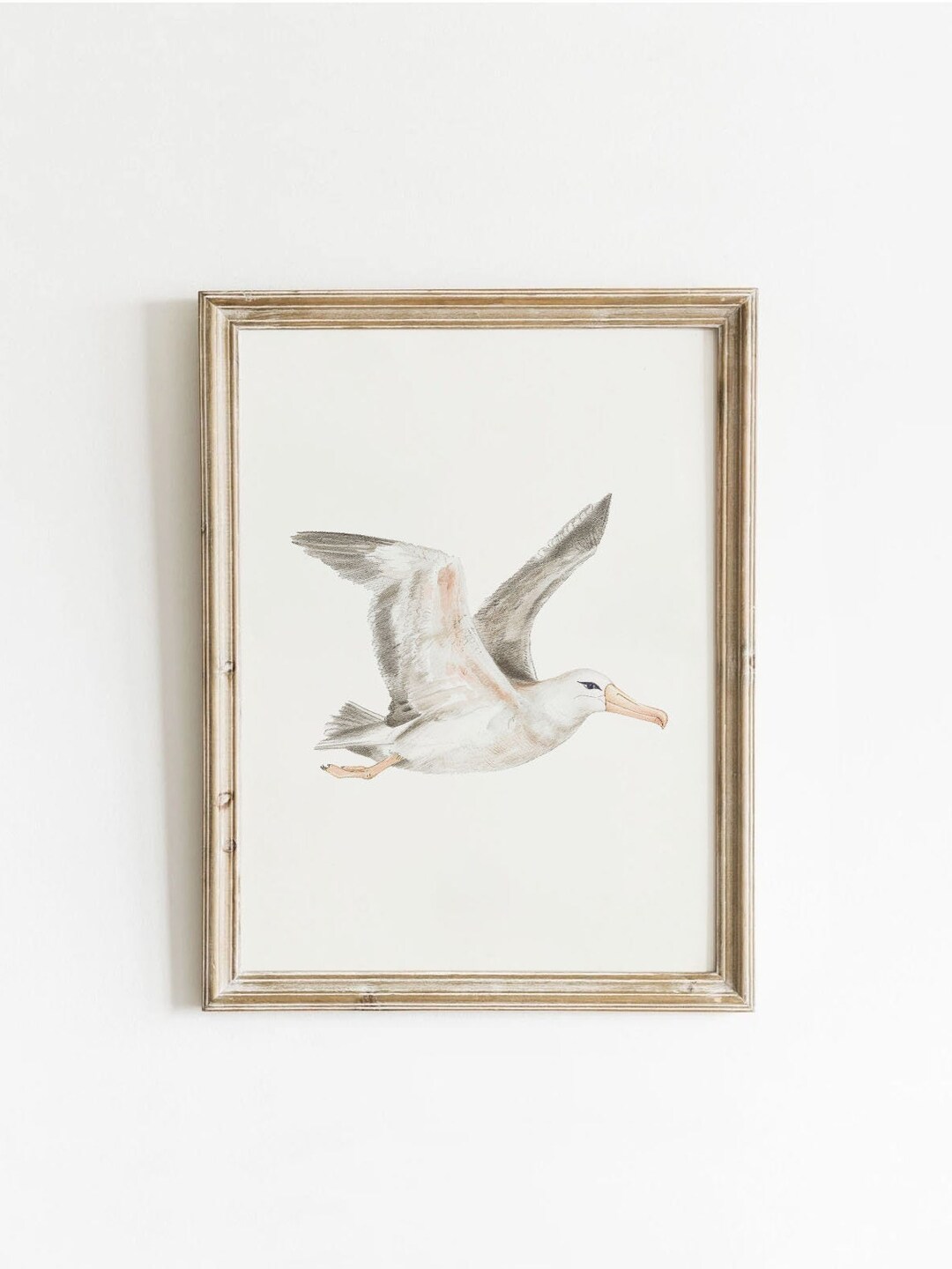 Vintage Albatross Wall Art, Retro Coastal Decor, Neutral Beachy ...