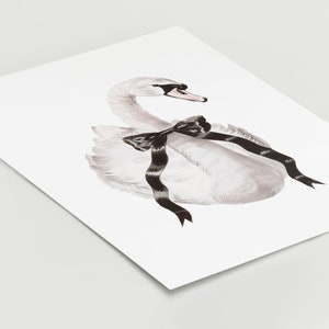 Vintage Swan & Bow Fine Art Print, Black and White Nursery Decor, Retro ...
